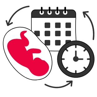 Gestational Age Calculator: Calculate Pregnancy Weeks - PixiTools